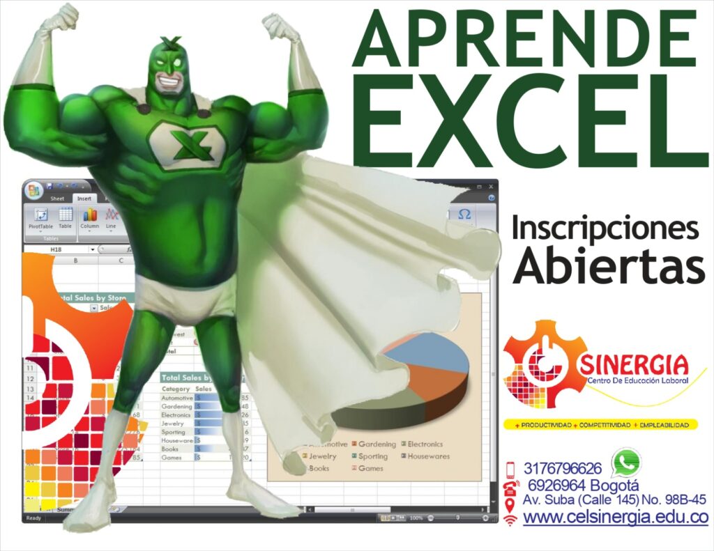 PROGRAMA - CELSINERGIA