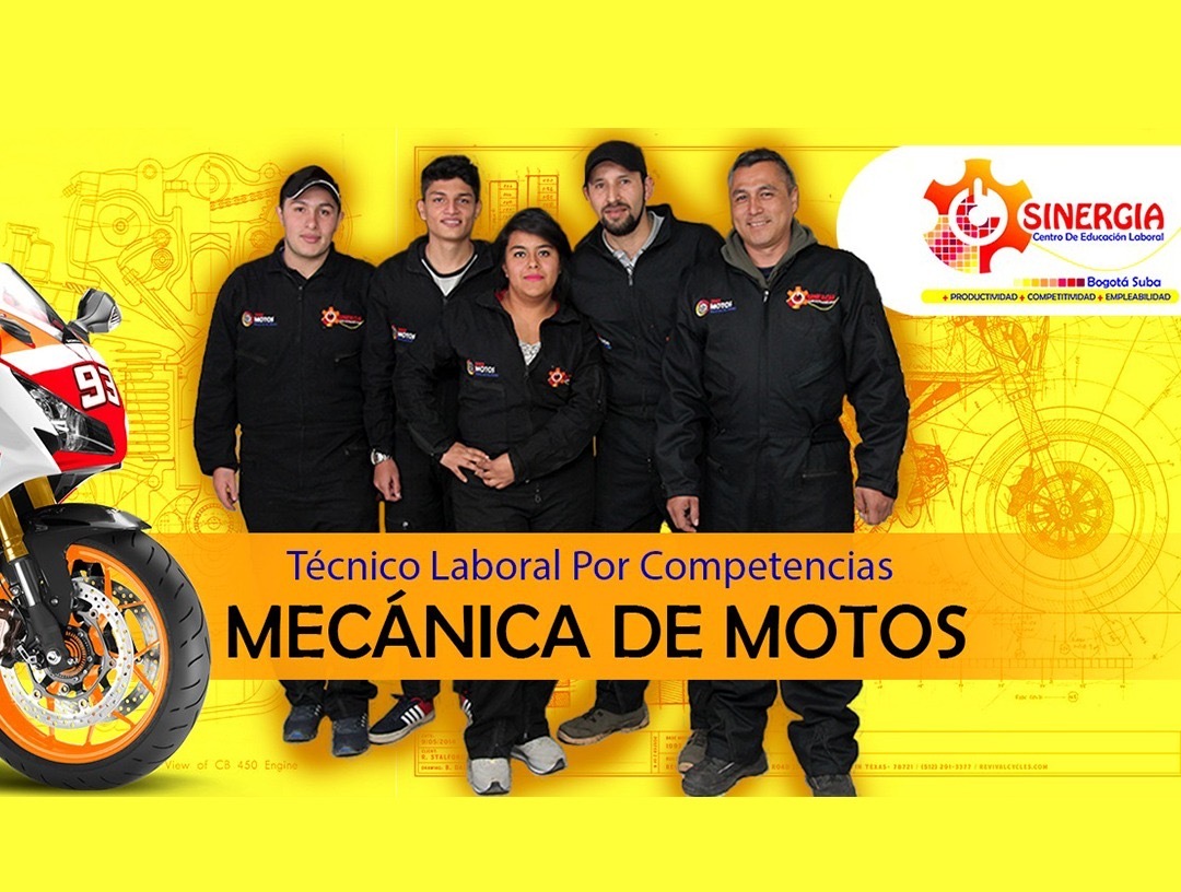 PROGRAMA - CELSINERGIA