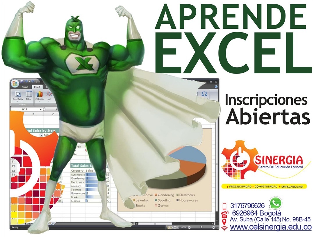 PROGRAMA - CELSINERGIA